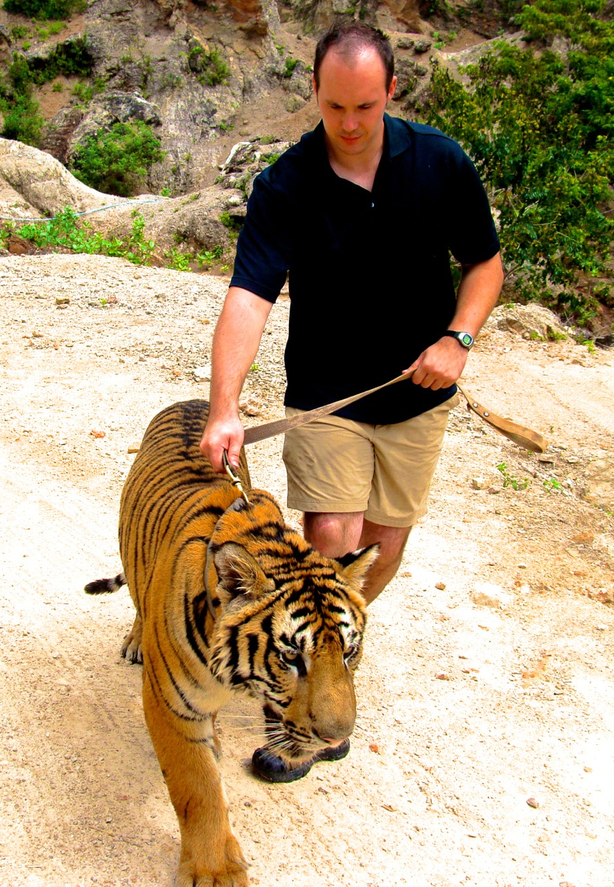 Walking A Tiger On A Leash | My Wanderlust Life